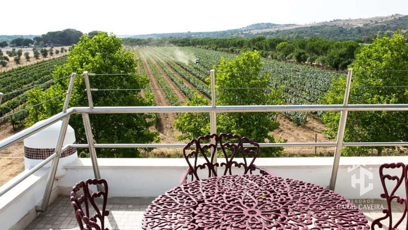 Herdade Canal Caveira - Winery Visit 4 Red's Wines & Tapas - Final Thoughts