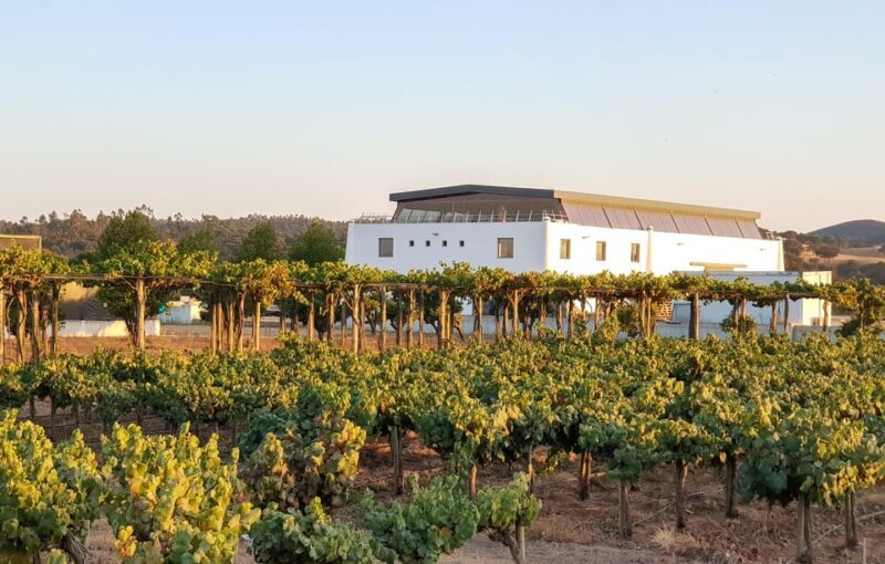Herdade Canal Caveira - Winery Visit 4 Wines & Tapas - Key Points
