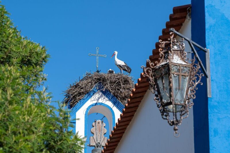 Herdade da Comporta Tailormade Winetasting - Who Will Love This Tour?