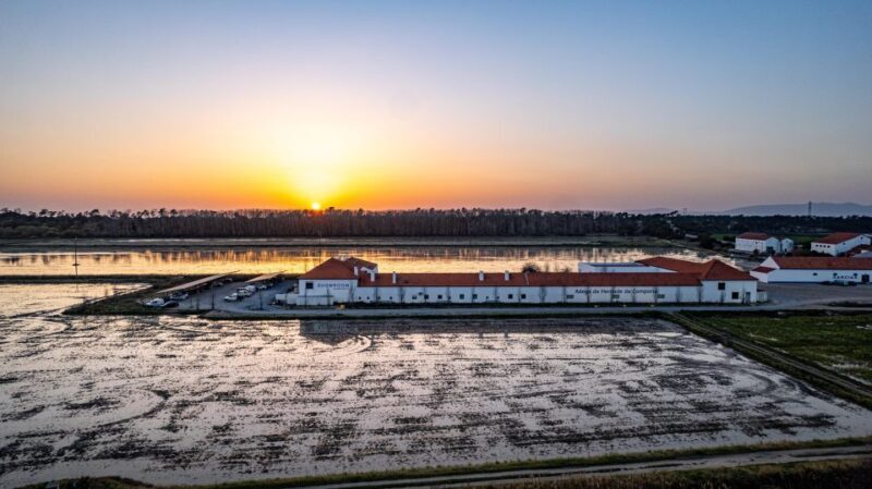 Herdade da Comporta Winetasting - Introduction: Why This Winetasting Tour Deserves a Spot on Your Portugal Itinerary