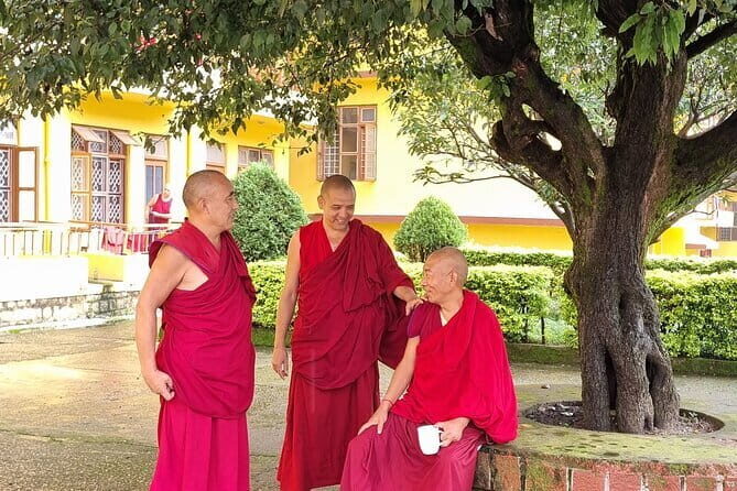 Heritage Amritsar & Spritual Dharamshala 4 Days Guided Tour - A Deep Dive into the Itinerary