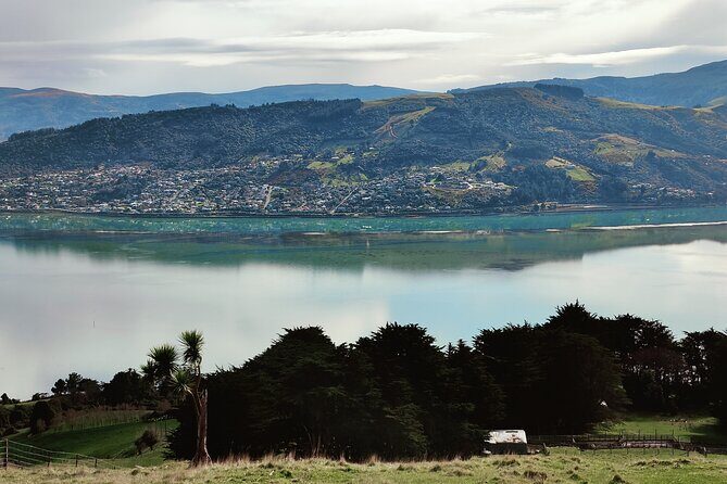 Heritage City and Larnach Castle Van tour with Historian Guide - FAQ