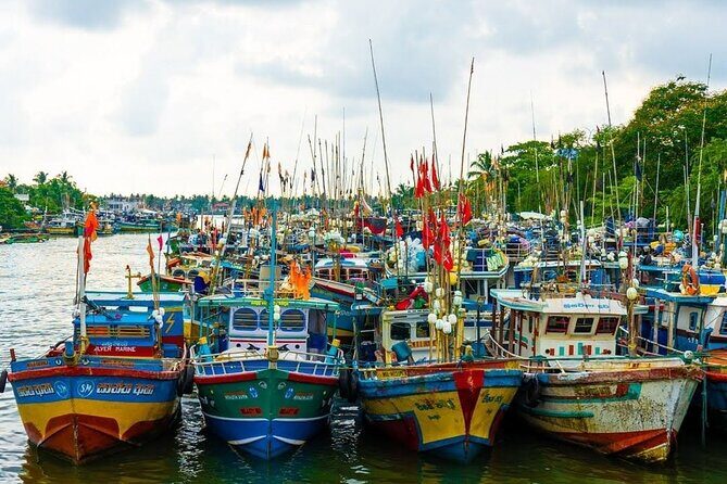 Heritage & Cultural Walk Around Negombo - Who Would Enjoy This Tour Most?