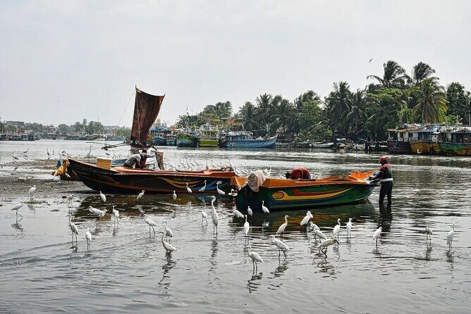 Heritage & Cultural Walk Around Negombo - Frequently Asked Questions