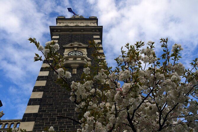Heritage Dunedin City Walking Guided Tour - Who Will Appreciate This Tour?