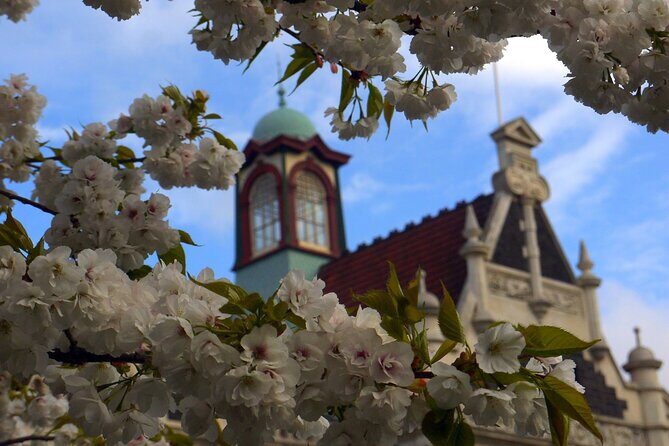 Heritage Dunedin City Walking Guided Tour - FAQs