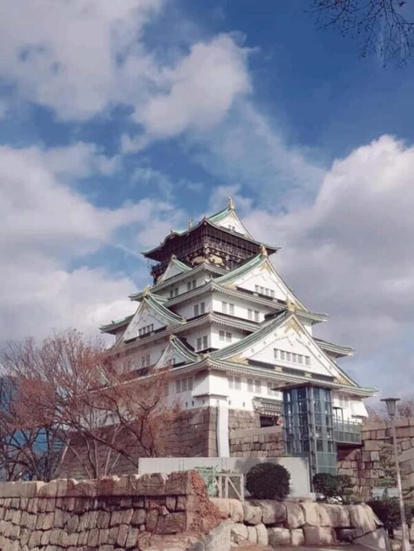 Heritage & Harmony: A Complete Tour of Osakas Treasures - Panoramic Views and Skyline