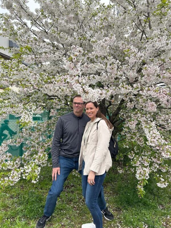 Heritage Tokyo: Sakura, Sake Brewery, Pairing Lunch - Discovering Tokyo’s Hidden Cherry Blossom and Heritage