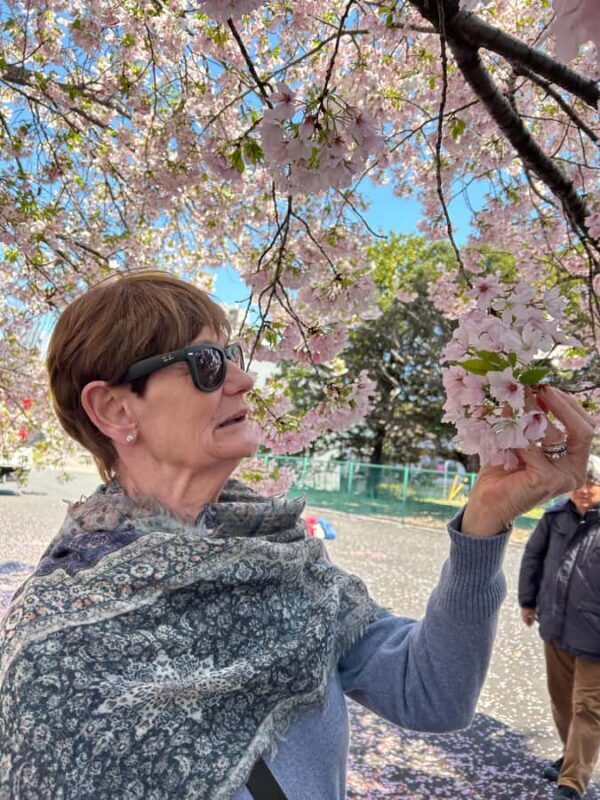 Heritage Tokyo: Sakura, Sake Brewery, Pairing Lunch - Practical Details: Transportation, Group Size, and Price