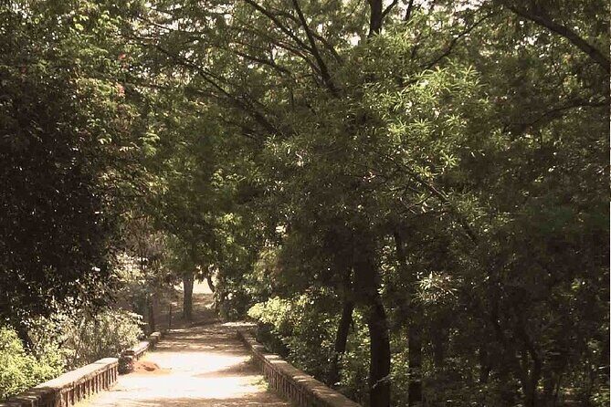 Heritage Tour of Delhi including Qutub Minar and Mehrauli Archaeological Park - Who Would Love This Tour?