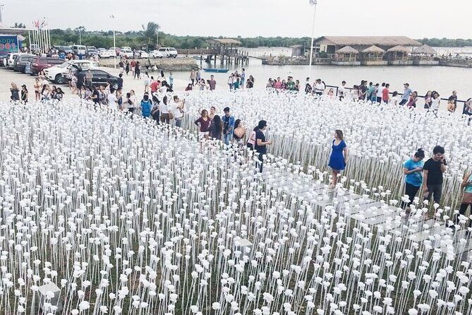 Heritage Tour with 10,000 Roses via CCLEX - Key Points