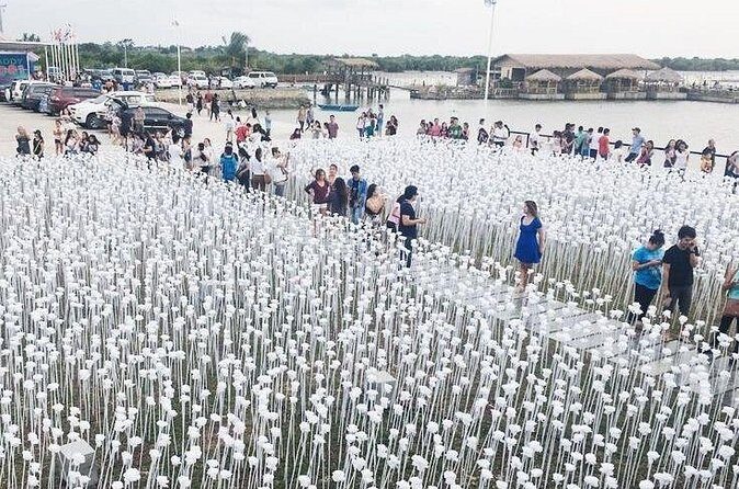 Heritage Tour with 10,000 Roses via CCLEX - Who Is This Tour Best For?