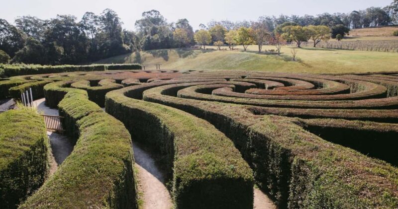 Herons Creek: Bago Maze Entry Ticket - An Entertaining Day at Herons Creeks Bago Maze