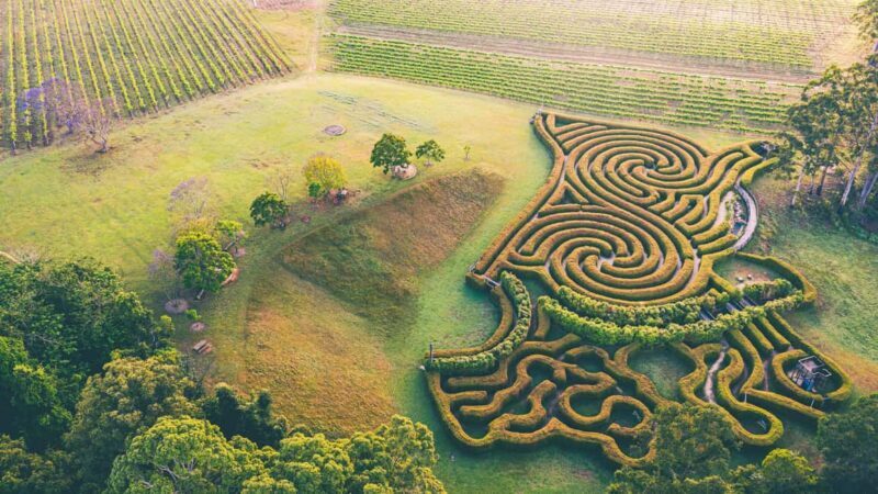 Herons Creek: Bago Maze Entry Ticket - Key Points