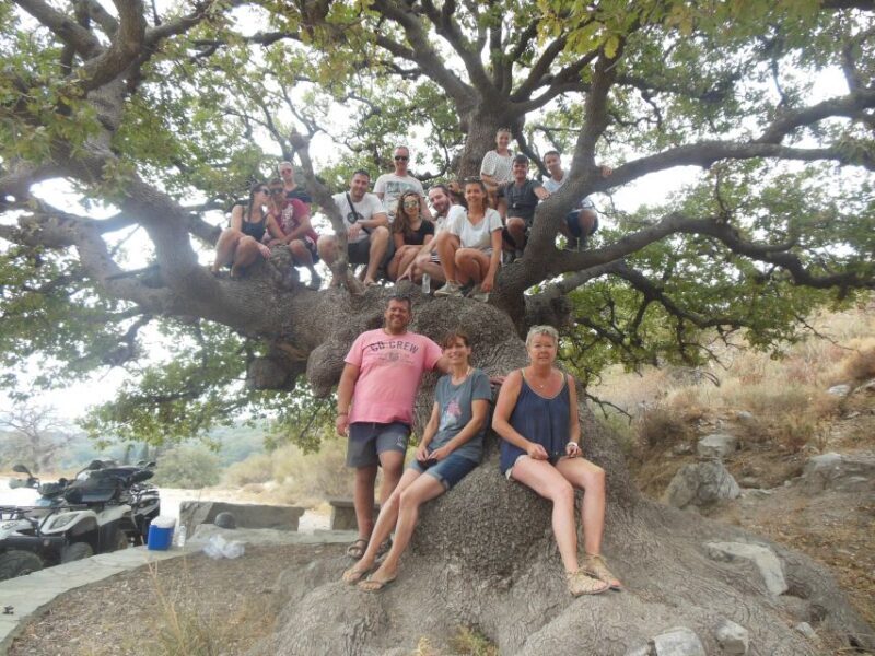 Hersonisos - Malia :off-road quad safari with transfer+Lunch - Who Will Love This Tour?