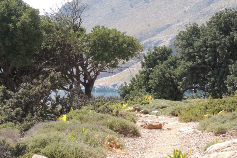 Hersonissos: South Eastern Crete & Sarakinas Gorge Day Tour - Key Points