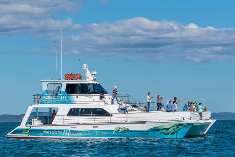 Hervey Bay: 3/4 Day Whale Watching Cruise with Lunch - Key Points