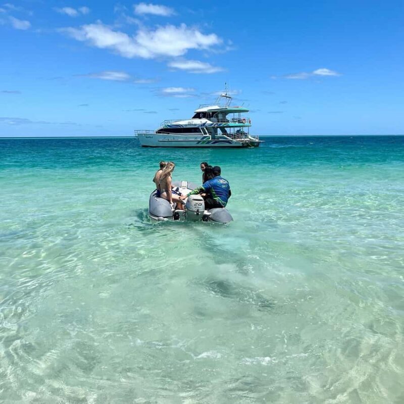 Hervey Bay: Aqua Oasis Cruise - Practical Details and Tips