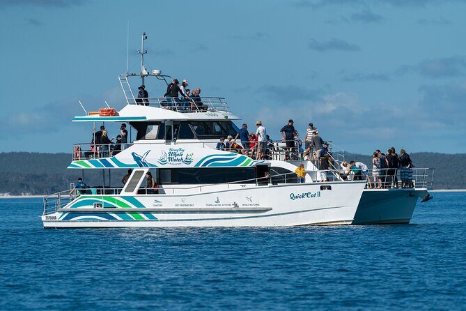 Hervey Bay: Best Value Half Day Whale Watching Cruise - What Makes This Whale Watching Tour Stand Out