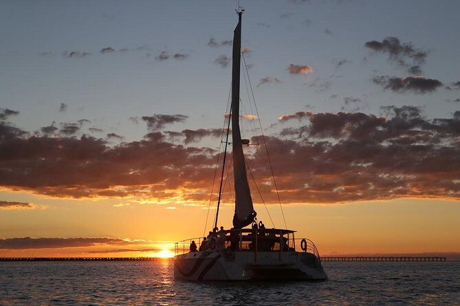 Hervey Bay Champagne Sunset Sail - The Experience: What You Can Expect