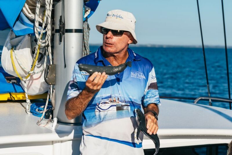 Hervey Bay: Exclusive Whale Watch Encounter - FAQ