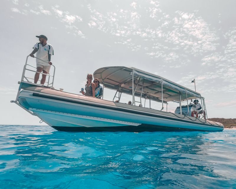 Hervey Bay: Half-Day Whale and Island Adventure by Boat - A Detailed Look at the Experience