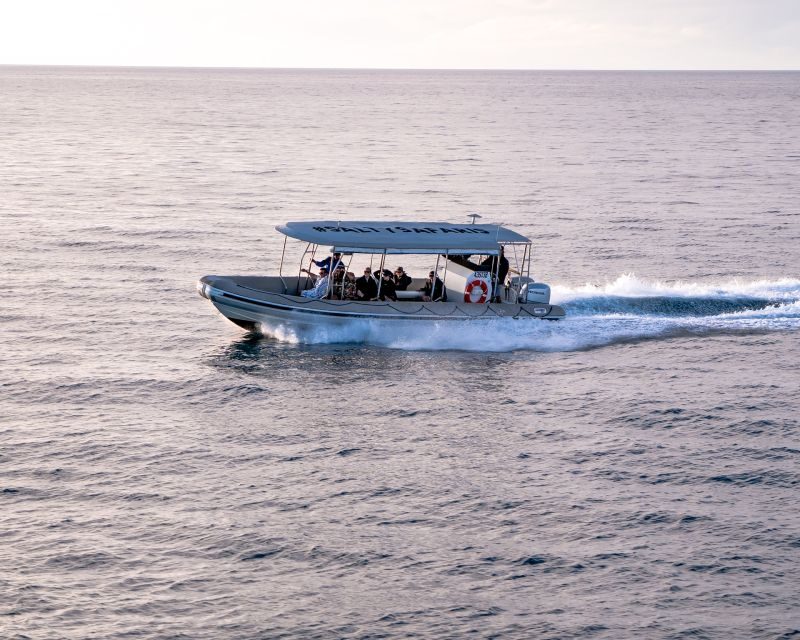Hervey Bay: Half-Day Whale and Island Adventure by Boat - FAQ