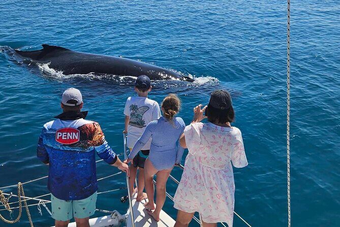 Hervey Bay Overnight Whale Watching Cabin Hire - Final Thoughts