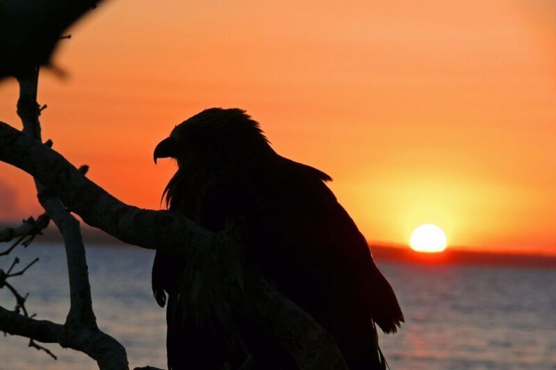 Hervey Bay: Relaxing Sunset Cruise with Champagne and Prawns - The Sum Up