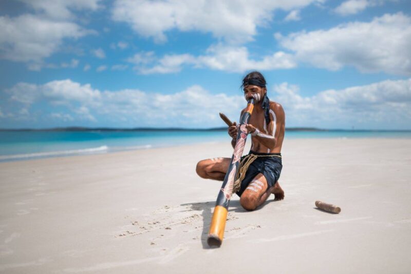 Hervey Bay: Turtle Discovery Eco Tour - The Itinerary: What You’ll Do