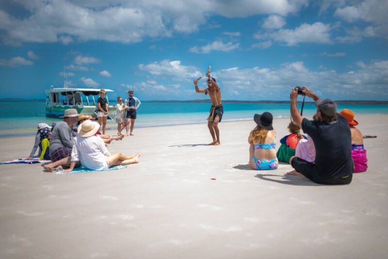 Hervey Bay: Turtle Discovery Eco Tour - The Downsides: A Few Words of Caution