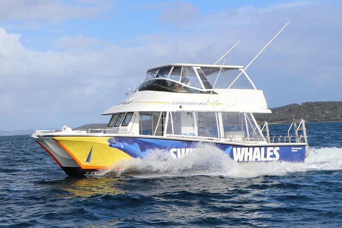 Hervey Bay Whale Swim and Watch - Who’s This Tour For?