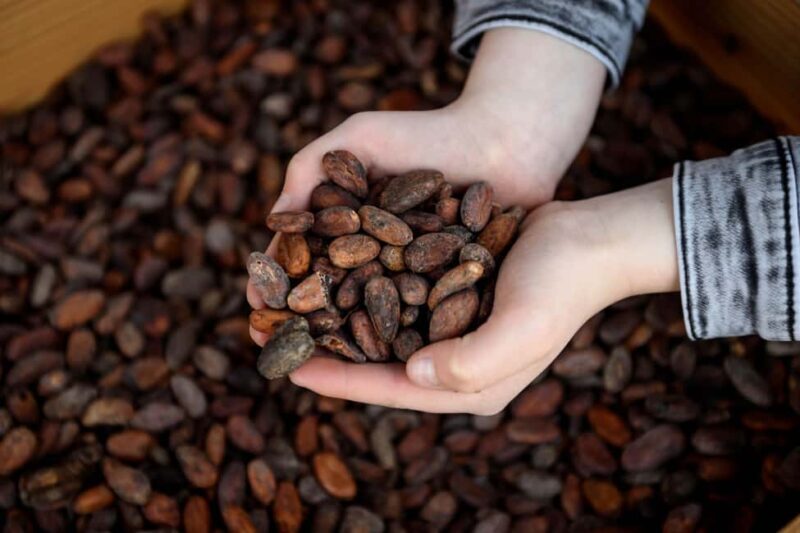 Heule: Chocolatier Vandenbulcke Chocolate Trail Tour - FAQs