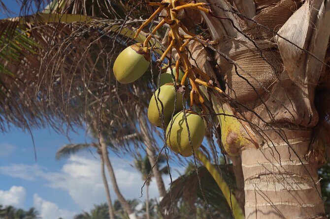 Hewanorra International Airport (UVF) Private St.Lucia Transfers. - Who Should Consider This Transfer?