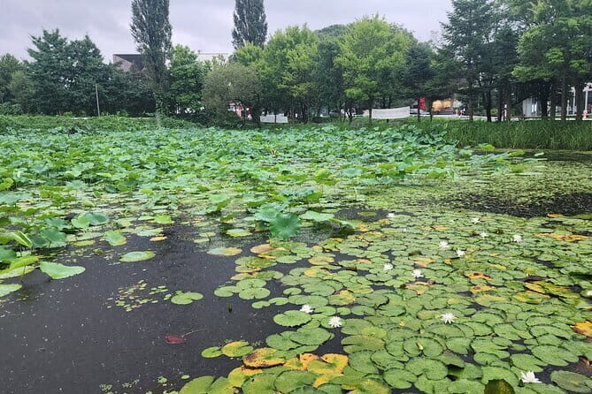 Heyri Walking Trip with Musical Instrument Making - Introduction