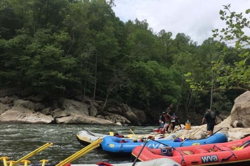 Hico, WV: Lower New River Rafting Day Trip with Lunch - Key Points