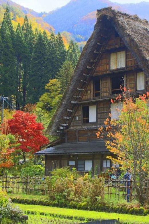 Hida Takayama, Shirakawa-go+Observatory|Day Trip from Nagoya - Expectations and Tips for the Tour
