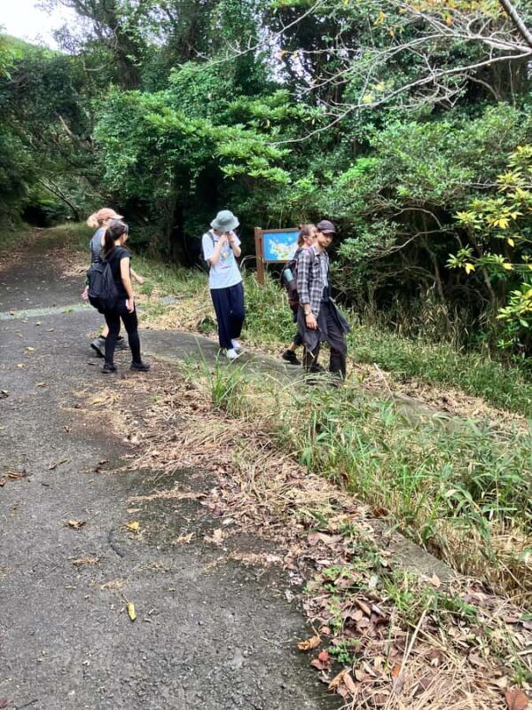 Hidaka, Wakayama: Butterfly Conservation, Hike, Hot Spring - Key Points