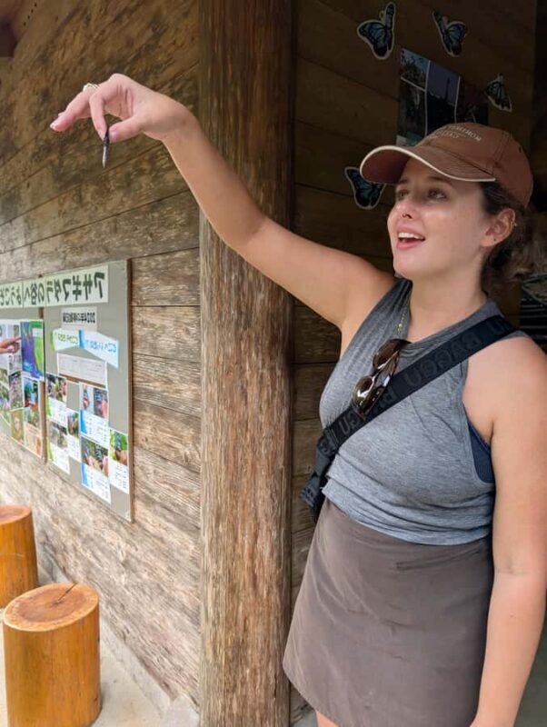 Hidaka, Wakayama: Butterfly Conservation, Hike, Hot Spring - An In-Depth Look at the Experience