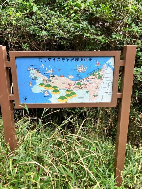 Hidaka, Wakayama: Butterfly Conservation, Hike, Hot Spring - Final Thoughts