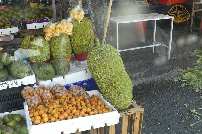 Hidden Acapulco: Off-the-Beaten-Path Immersive with Local Lunch - Authenticity and Learning