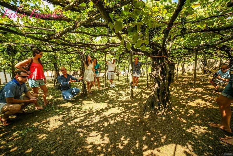 Hidden Amalfi:Vespa Tour Throught Secret Villages - FAQ
