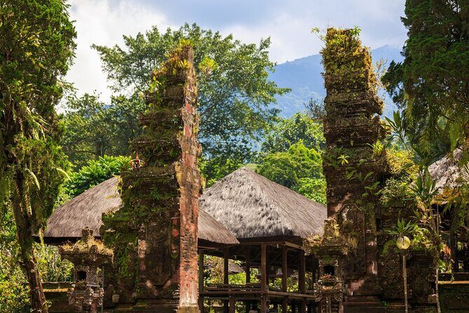 Hidden Bali Gems Sekumpul, Sacred Temples and Jatiluwih - Who Is This Tour Best For?