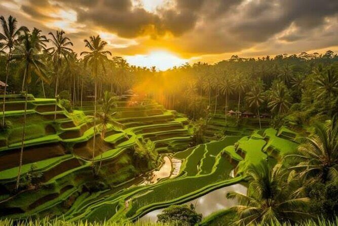 Hidden Bali Waterfalls And Scenic Rice Terrace With Lunch - Real Traveler Insights