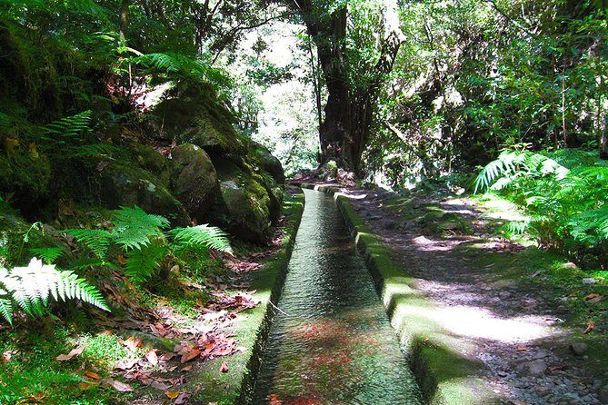Hidden Corners: Levada Walk from Funchal - Hidden Corners: Levada Walk from Funchal — A Deep Dive into Madeira’s Natural Beauty