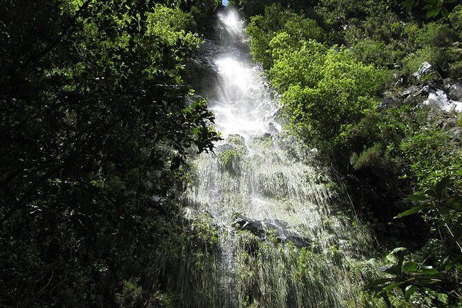 Hidden Corners: Levada Walk from Funchal - The Scenario: What to Expect on the Levada Walk