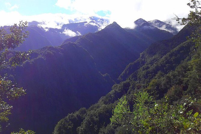 Hidden Corners: Levada Walk from Funchal - Authenticity and Value