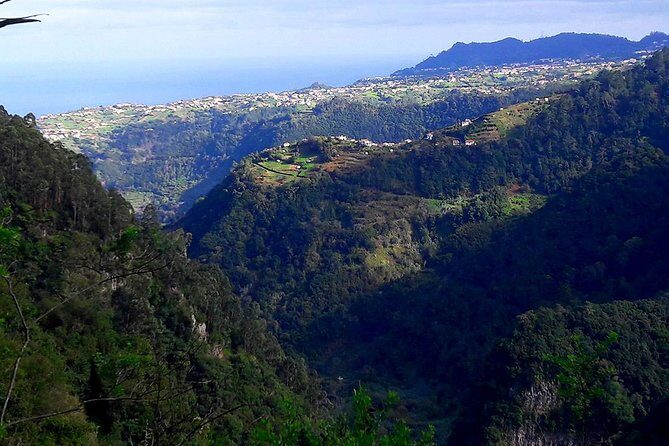 Hidden Corners: Levada Walk from Funchal - Who Will Love This Tour?