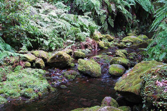 Hidden Corners: Levada Walk from Funchal - Frequently Asked Questions