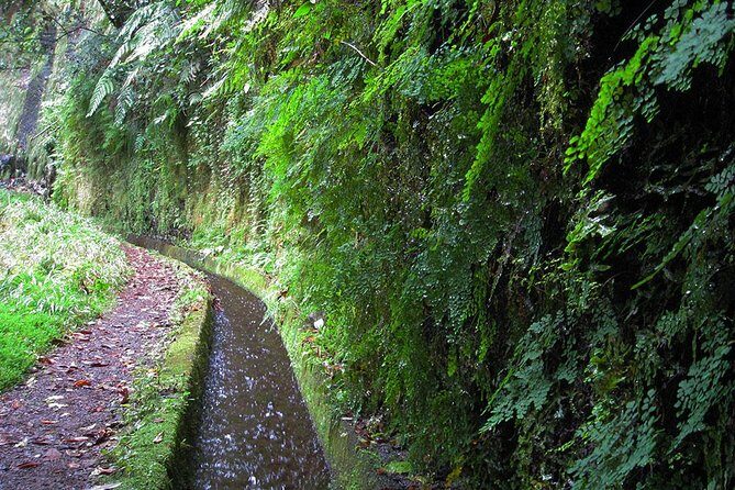 Hidden Corners: Levada Walk from Funchal - Final Thoughts